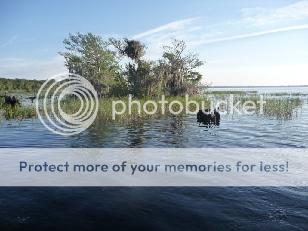 Blue Cypress Lake 4-3-10 | Dedicated To The Smallest Of Skiffs