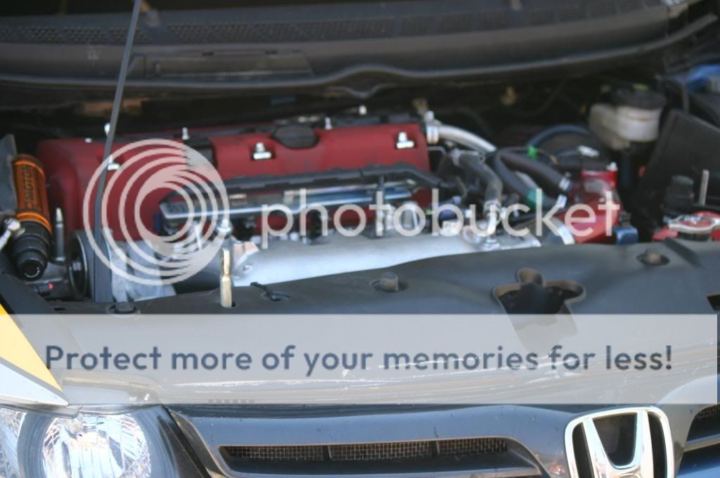 Compass 360/Skunk2 Debuts New Civics @ Daytona for '09 Grand Am Cup ...