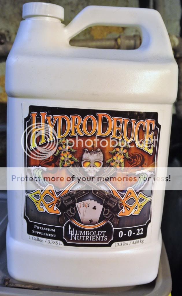 Round 1 Nute Battle: Blue Planet vs Humboldt Nutrients | Rollitup